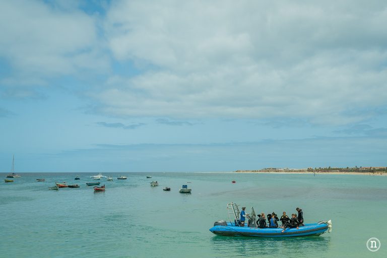 Isla de Sal Cabo Verde que ver y hacer : Nómadas ocasionales