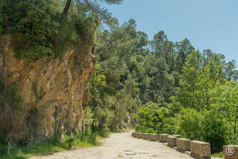 Ruta del Río Borosa y Cerrada de Elías en Sierra de Cazorla, Jaén ...